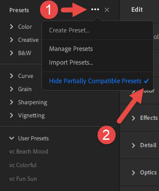 LR CC Import Preset - Vanessa Campos preset pack import